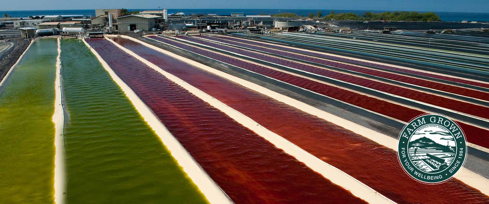 BioAstin – Nutrex Hawaii