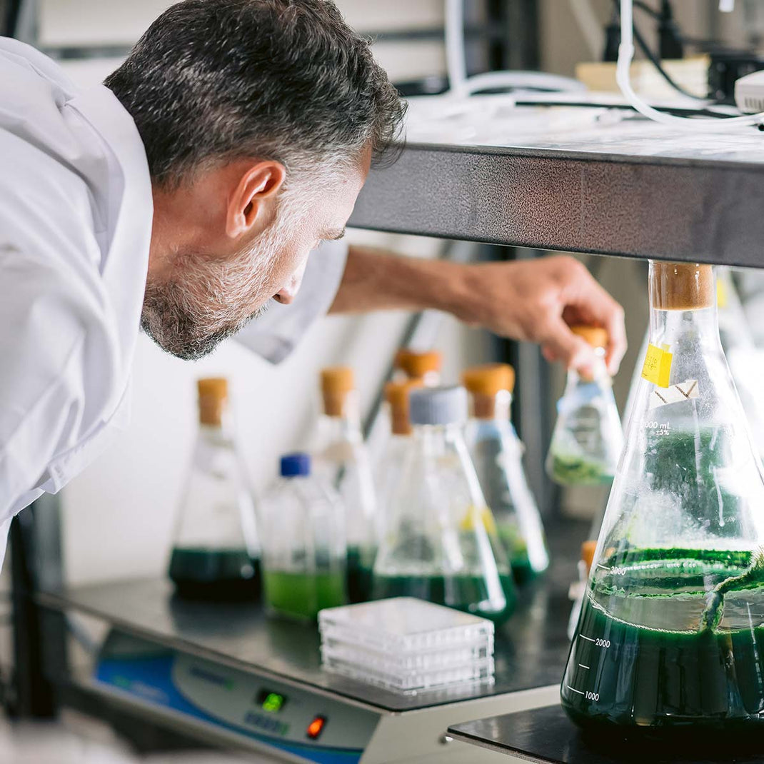 Spirulina – Nutrex Hawaii